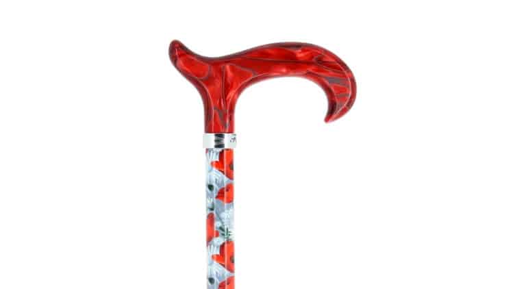 Canne de marche originale et personnalisée en 2024